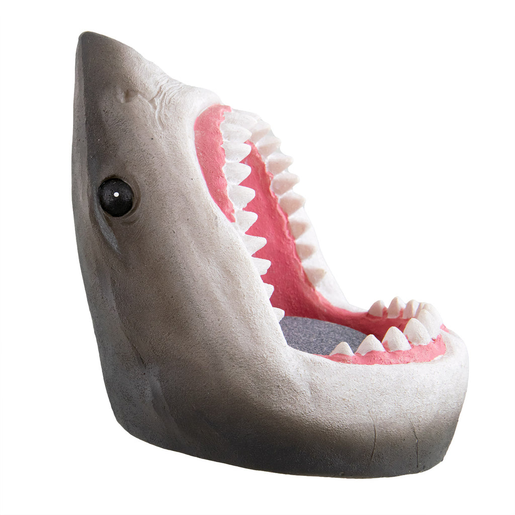 Shark Head – 1 Fish 2 Fish Dartmouth